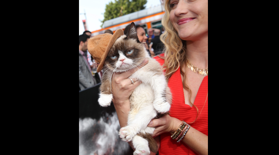 Grumpy Cat: de los memes a la entrega de los MTV Movie Awards | TVMAS | EL COMERCIO PERÚ