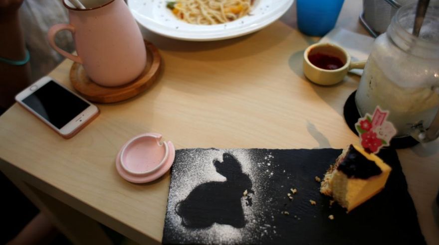El "café de conejos" que causa ternura en Hong Kong [FOTOS] | MUNDO ...