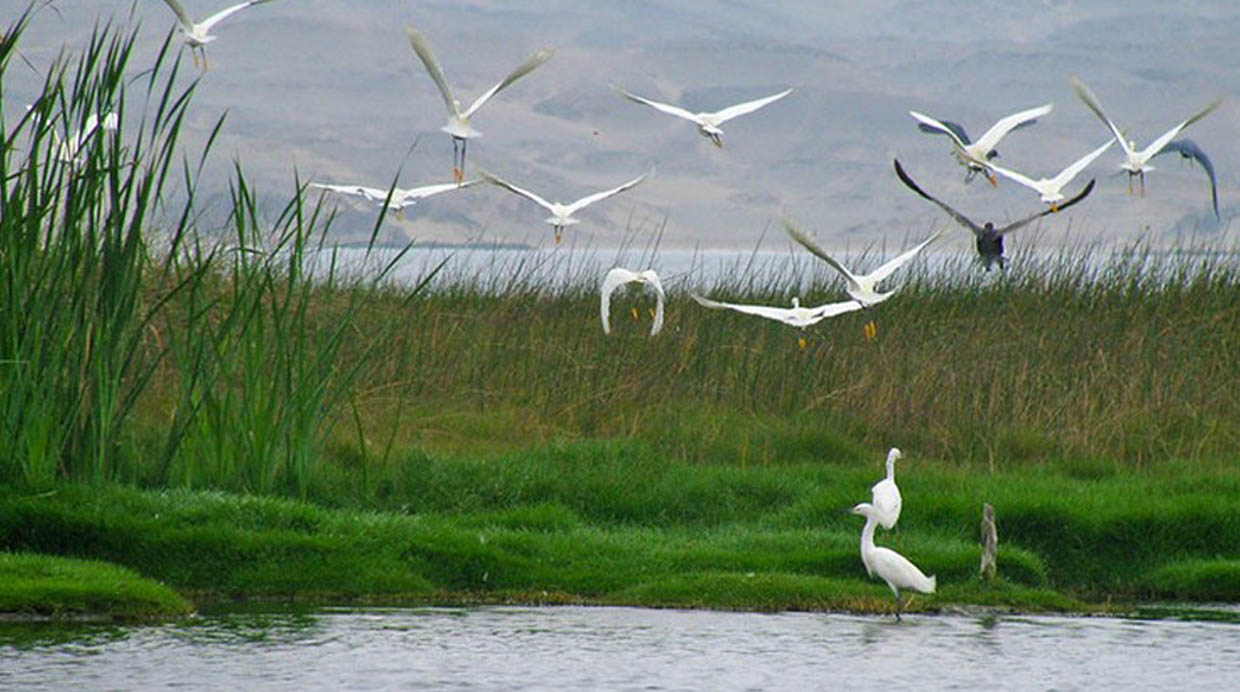 Huacho de aniversario: Descubre sus más importantes atractivos | VAMOS ...
