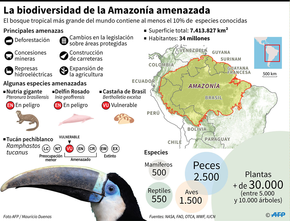 Bolivia registra dos fallecidos que intentaban sofocar incendios en la ...
