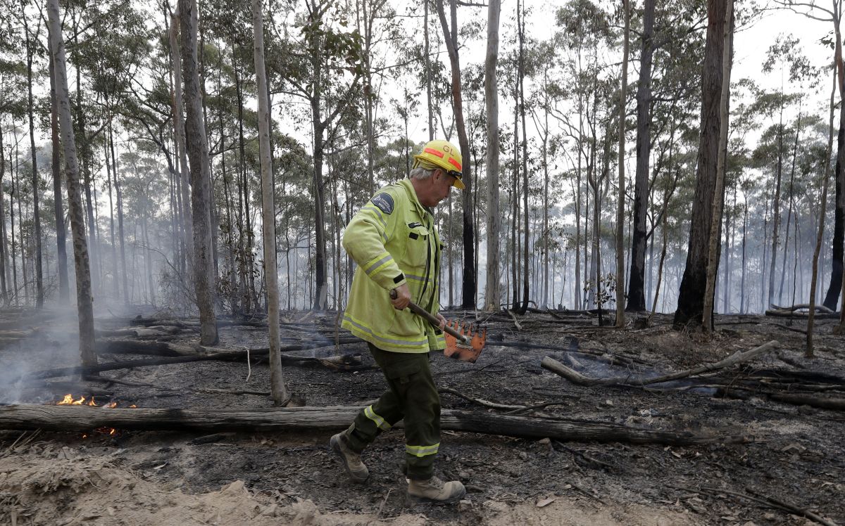 Incendio forestales en Australia | Bomberos en Australia pasan a la ...