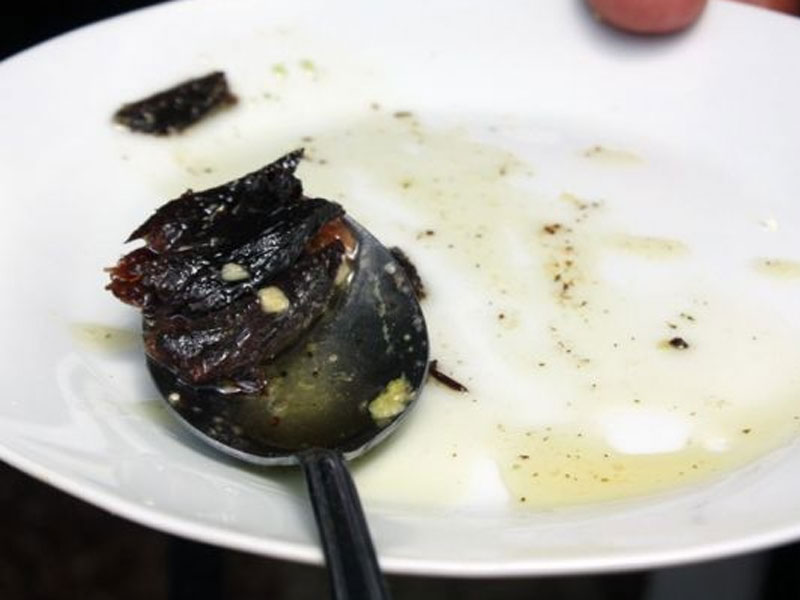 Carne de delfín se vendía como plato exótico en restaurante del Callao ...