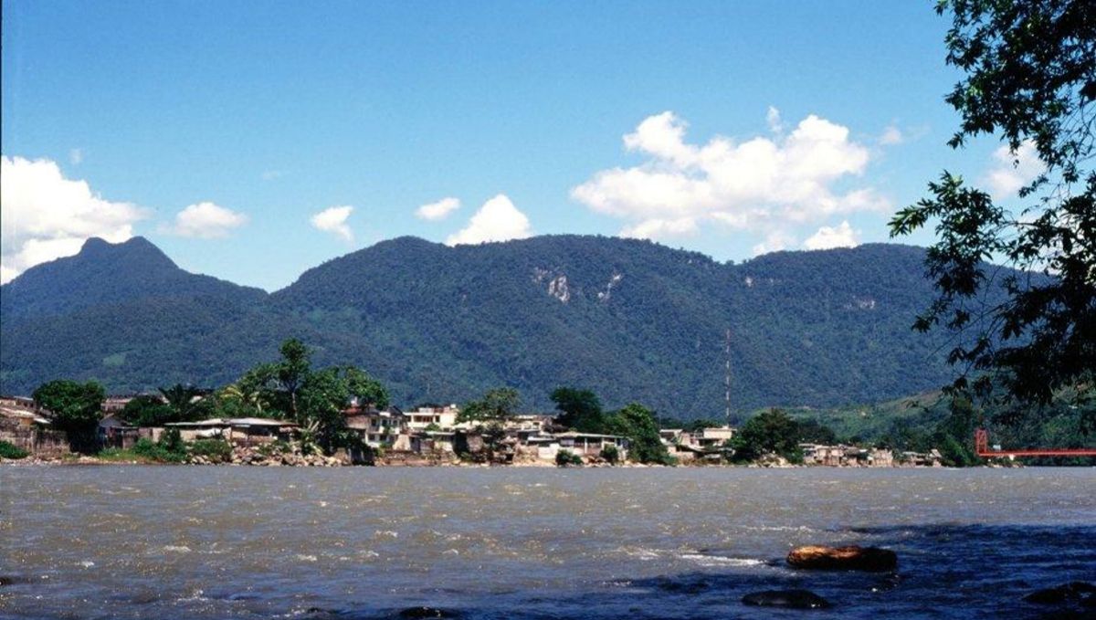 Tingo María de aniversario: cuatro grandes motivos para visitar la ...