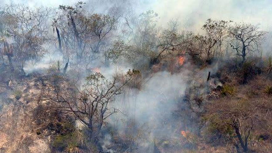 Incendios destruyeron más de 22 mil hectáreas en ocho días | PERU | EL ...
